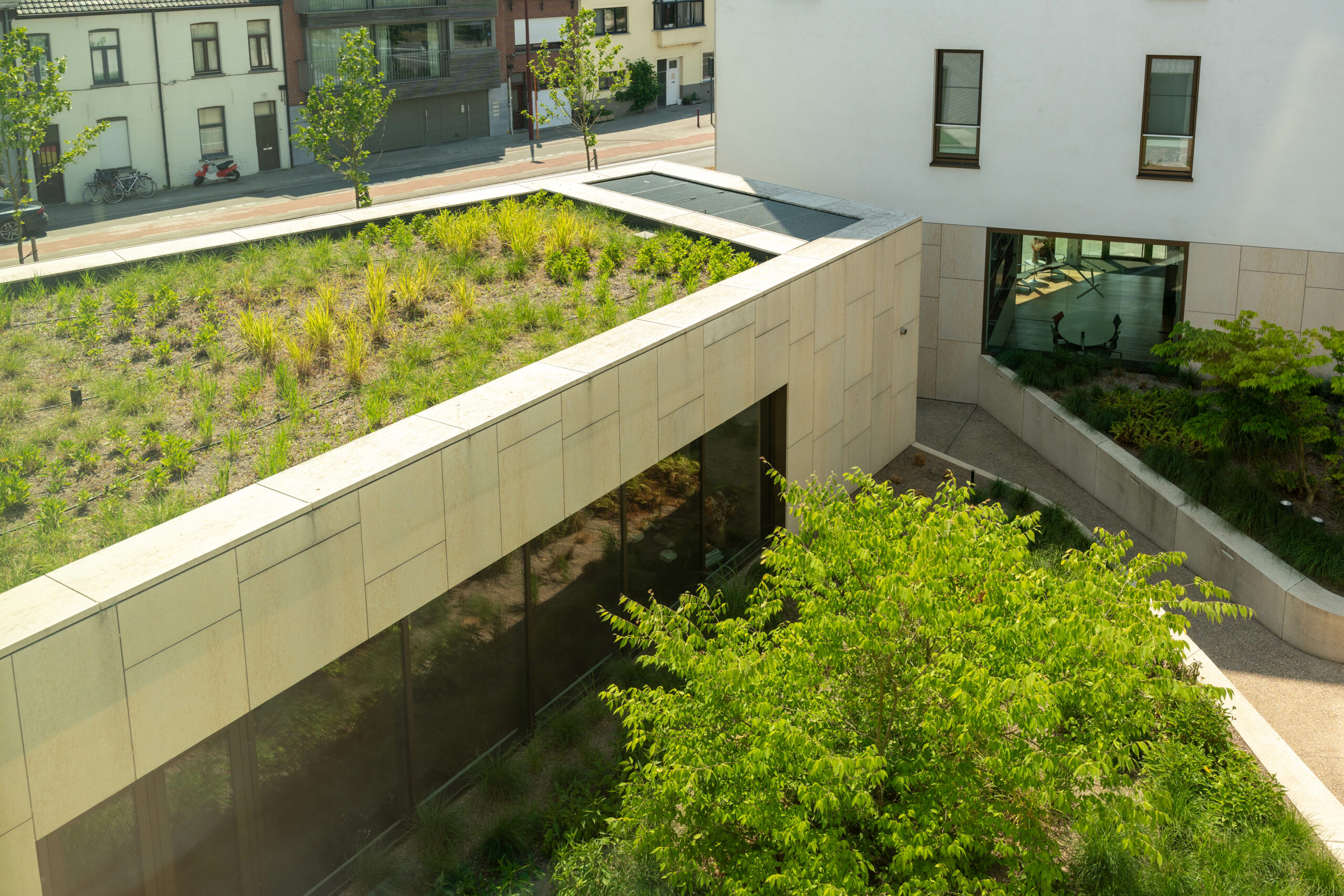 Groendaken: groene kwaliteit op uw dak | EMC Greenroofs